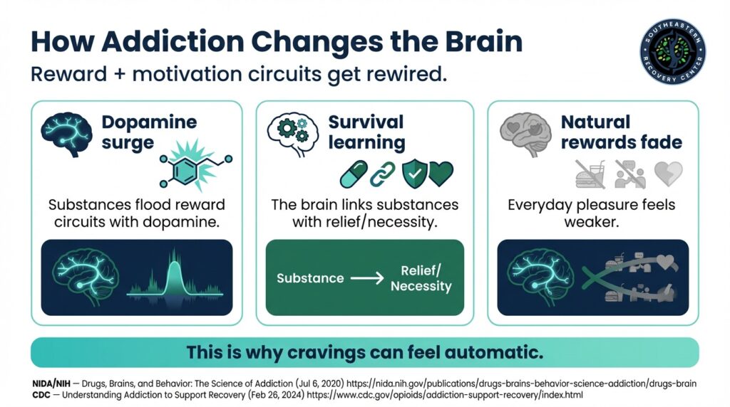 What Happens to the Brain When Someone Is Addicted? - Drug & Alcohol ...